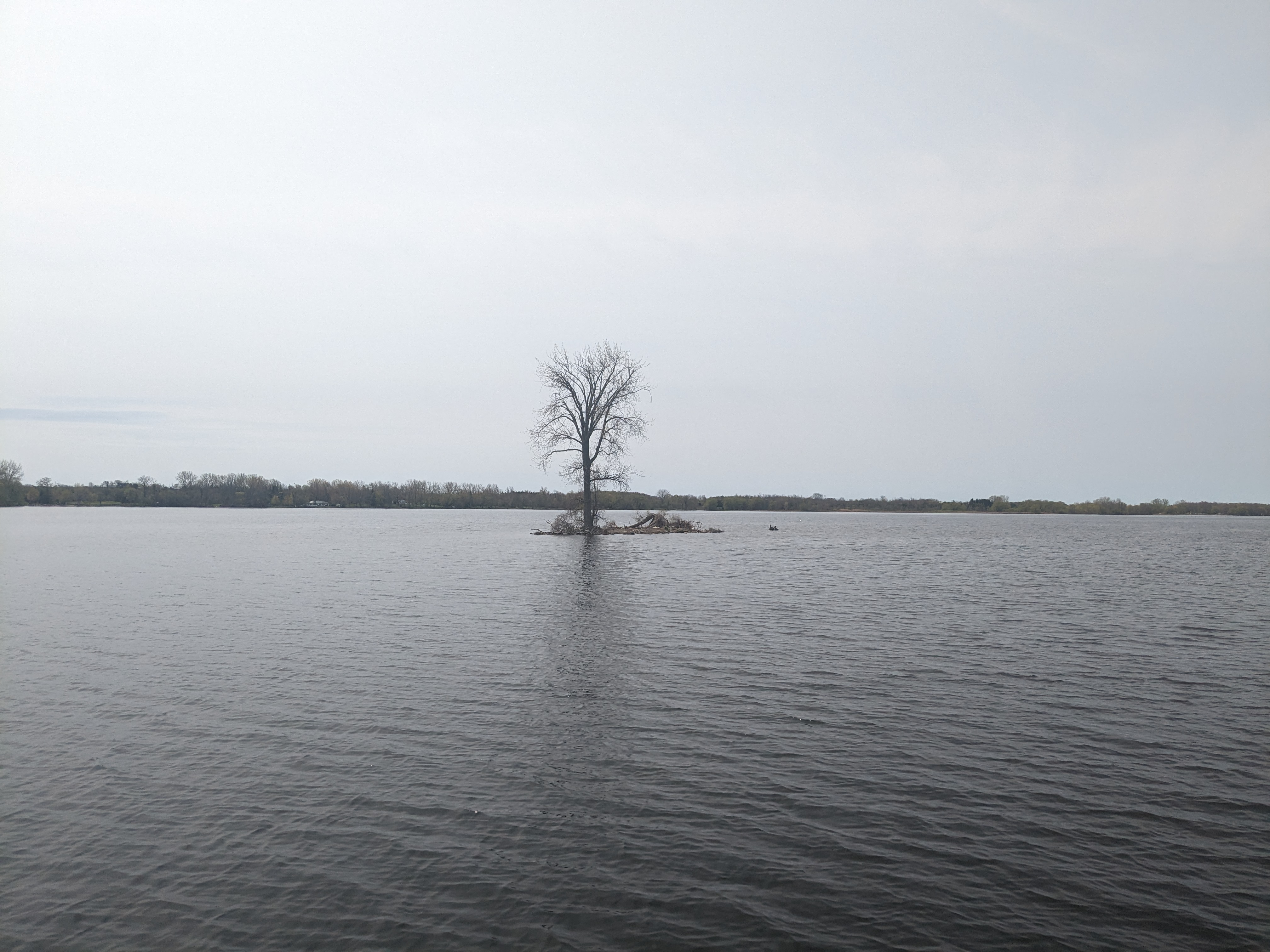 Collins Bay – Boating Adventures
